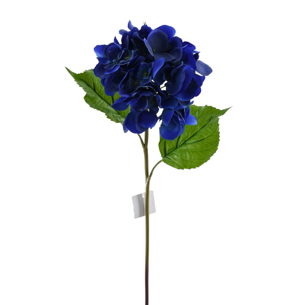 Hortensia Azul Fresh Touch – Fusion8